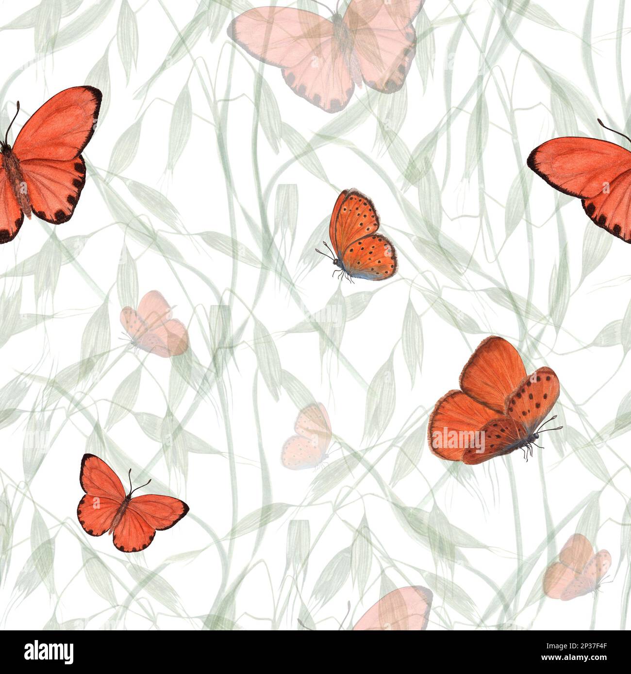 Orange butterfly clipart hi-res stock photography and images - Alamy