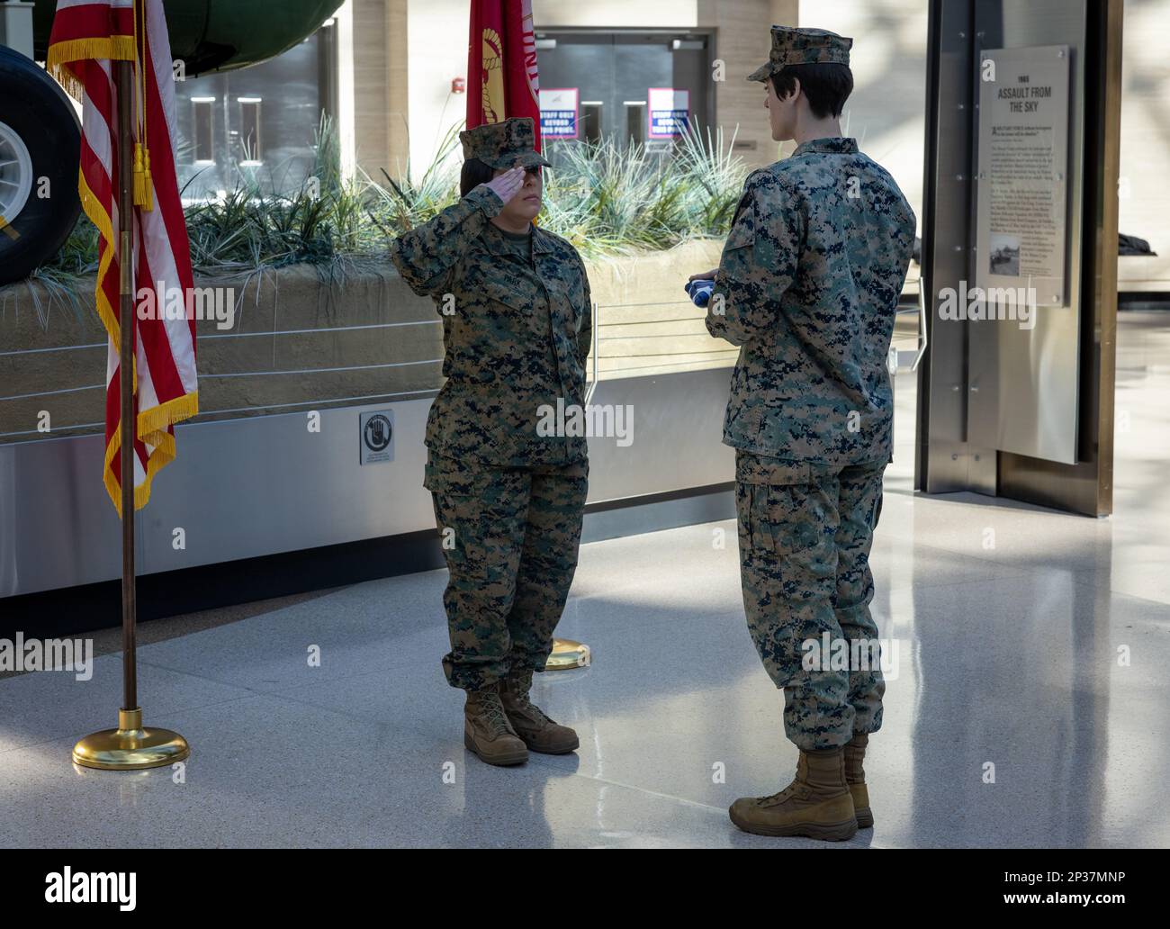 U.S. Marine Corps Master Sgt Laura Park, accounting chief at training ...