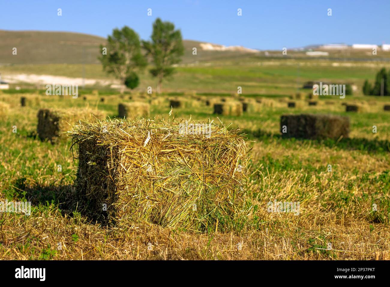 Available farm land hi-res stock photography and images - Alamy