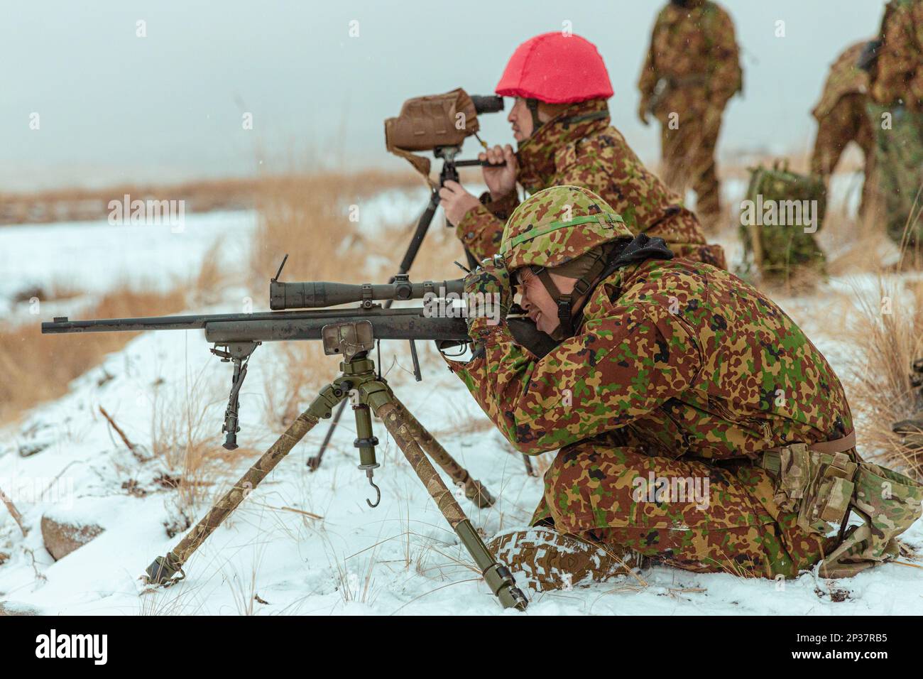 Soldiers with the 1st Regimental Landing Team, Japan Ground Self ...
