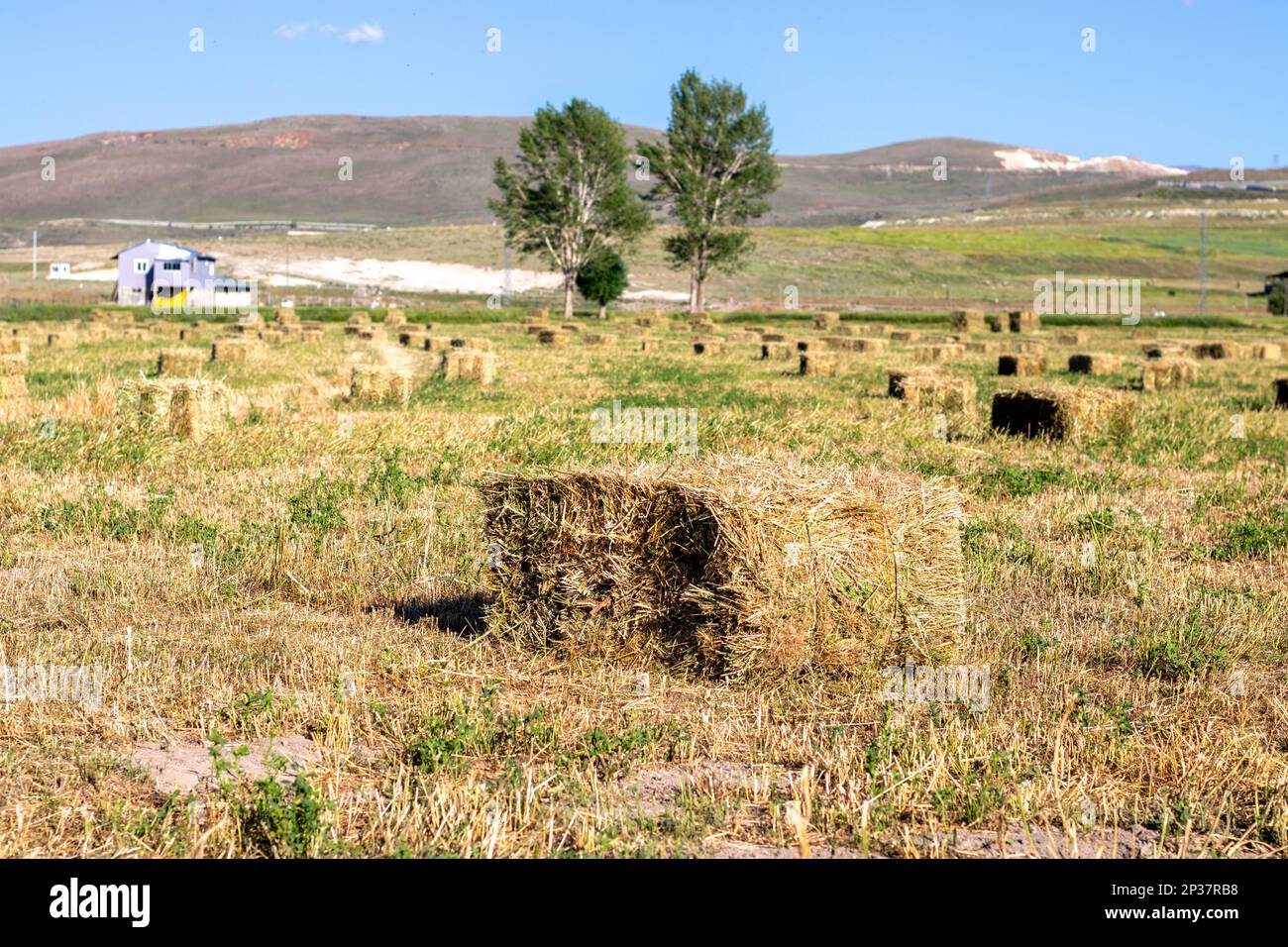 Available farm land hi-res stock photography and images - Alamy