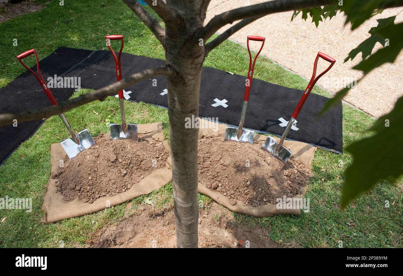 WASHINGTON, DC - June 16: Ceremonial shovels wait to do their job ...