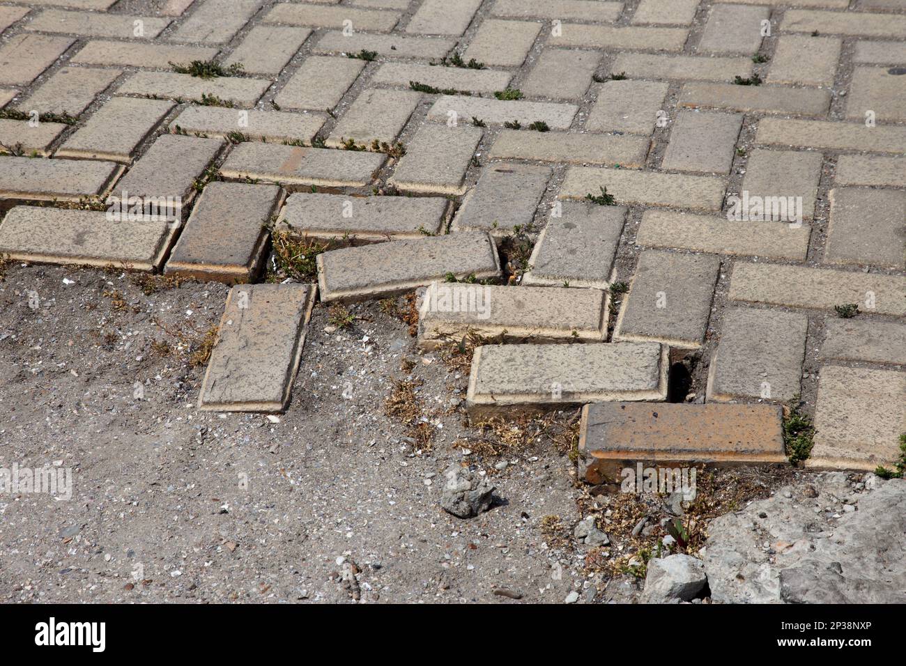 Background old cracked paving slabs with green grass between the tiles ...
