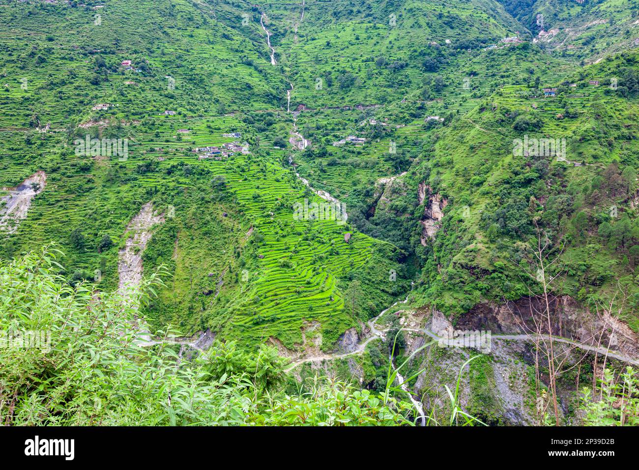 View of green landscape terrace rice field with waterfall and mountain ...