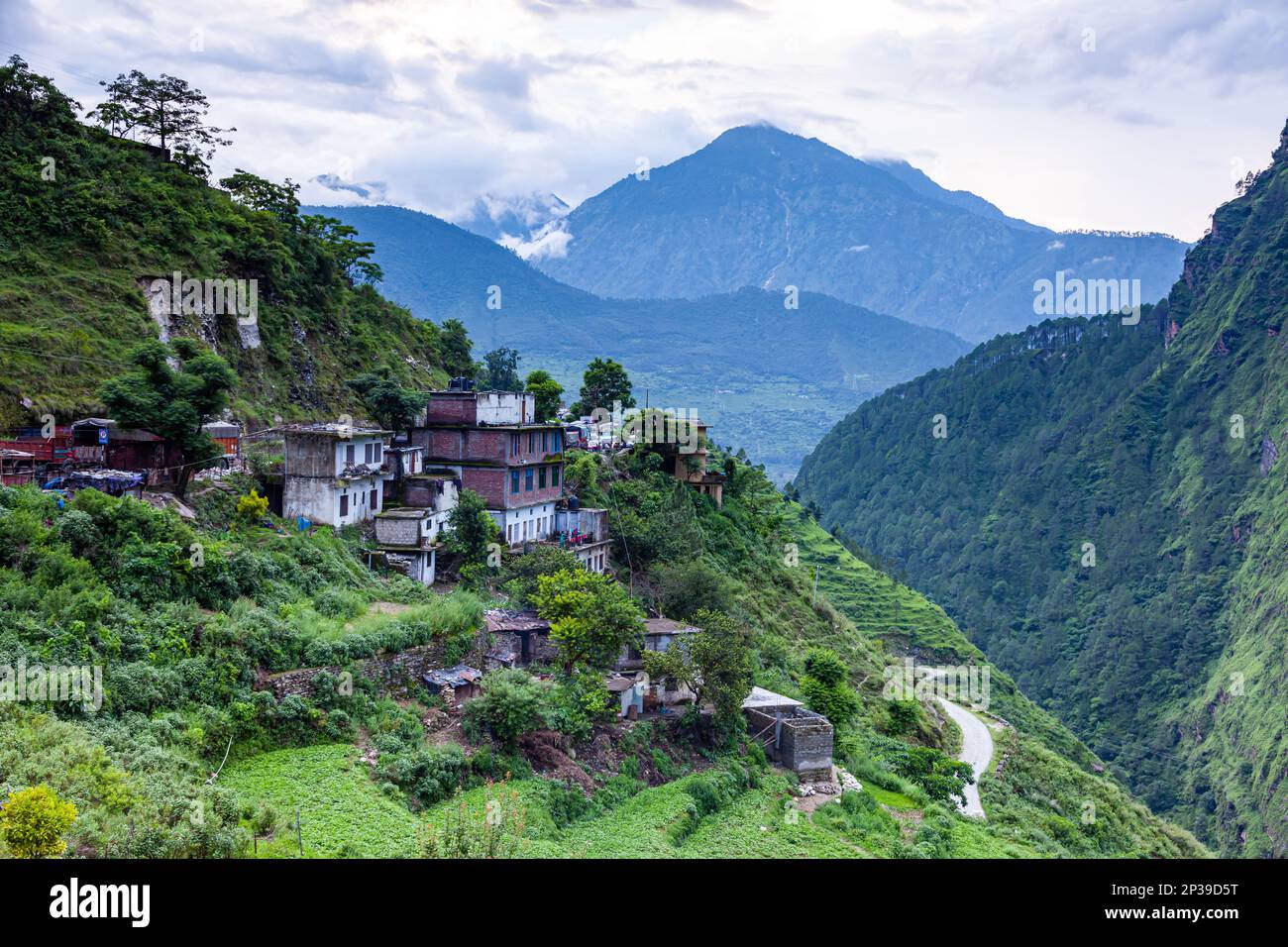 View of village and green agricultural terraced rice field on himalaya ...
