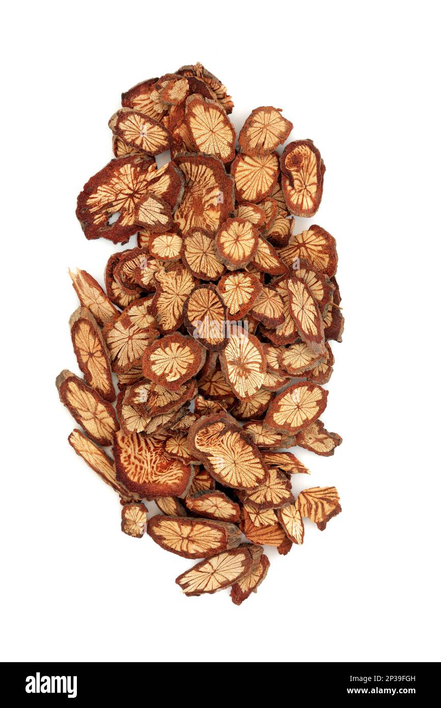 Sagent glory vine herbal plant medicine. Is anti bacterial, anti ...