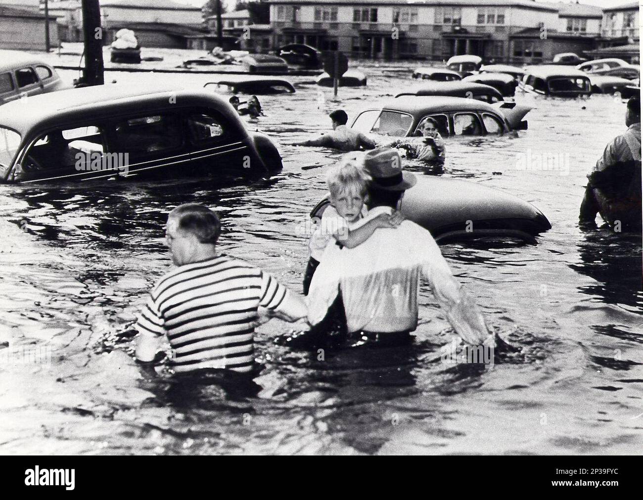 A boy clings to safety at Entrance Circle during Vanport flood of ...