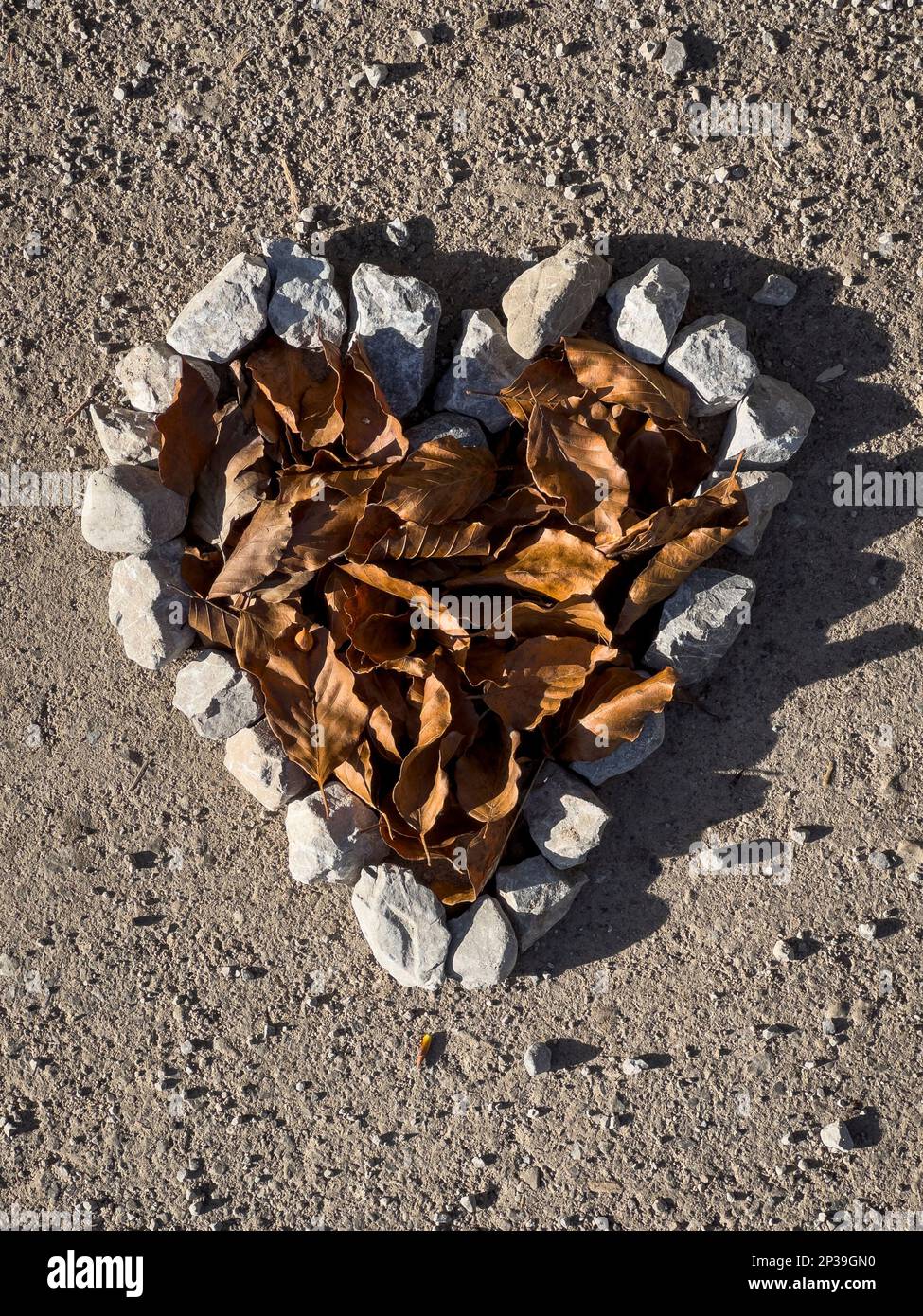 Heart shape laid with lime stones on the ground filled with autumn ...
