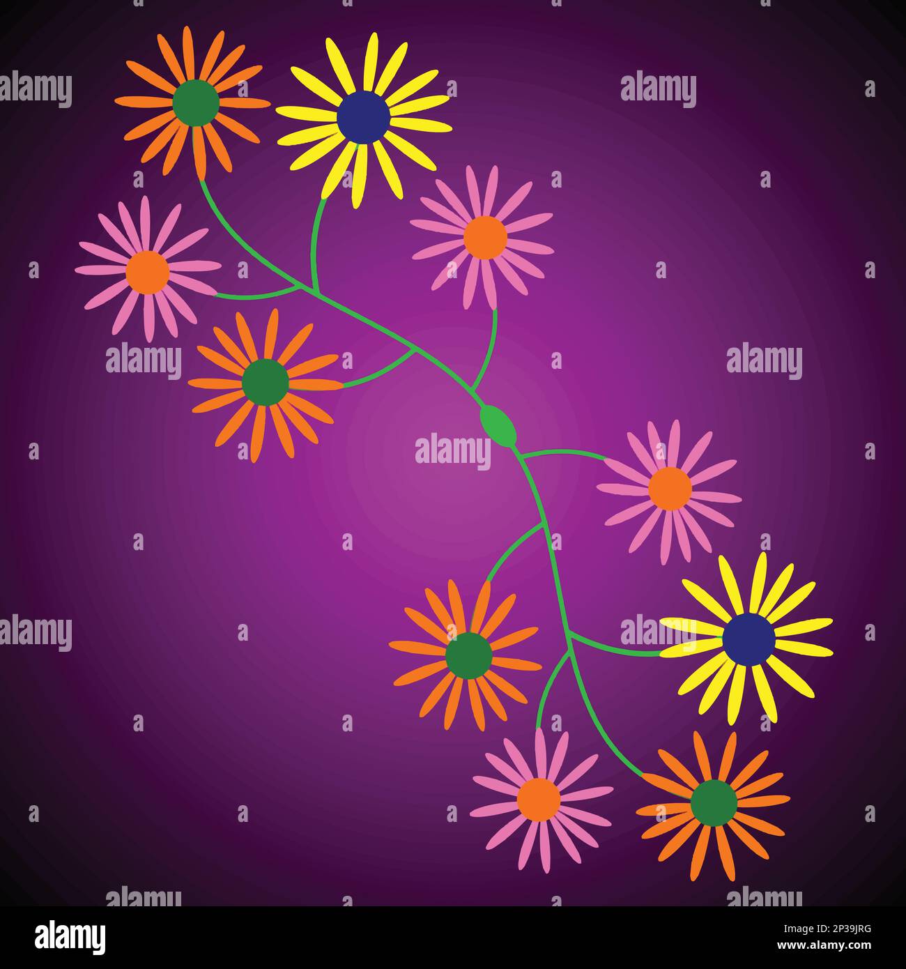 Colorful daisies on a purple background. Vector illustration Stock ...