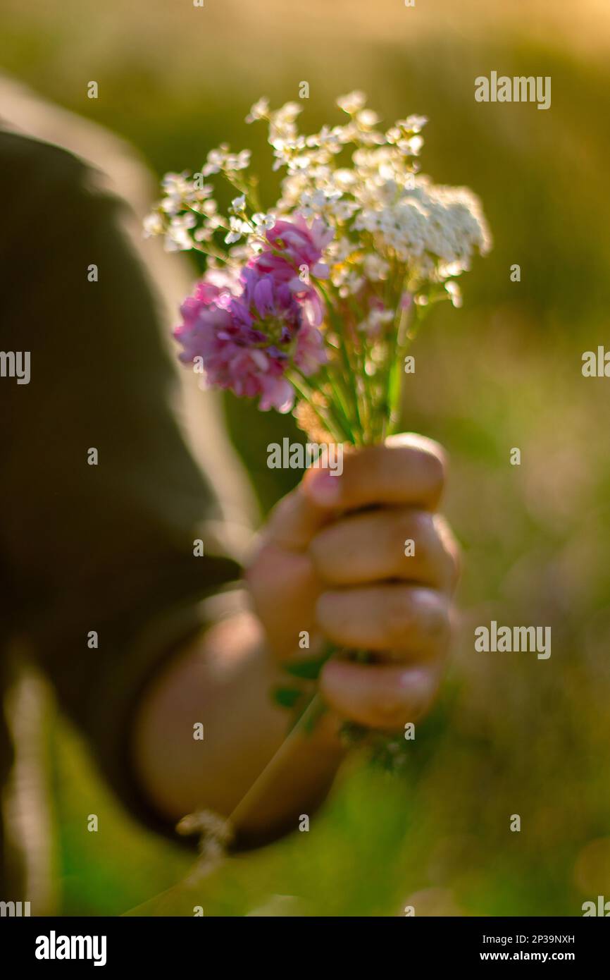 A person is holding a bunch of flowers in their hand.unclear effect ...