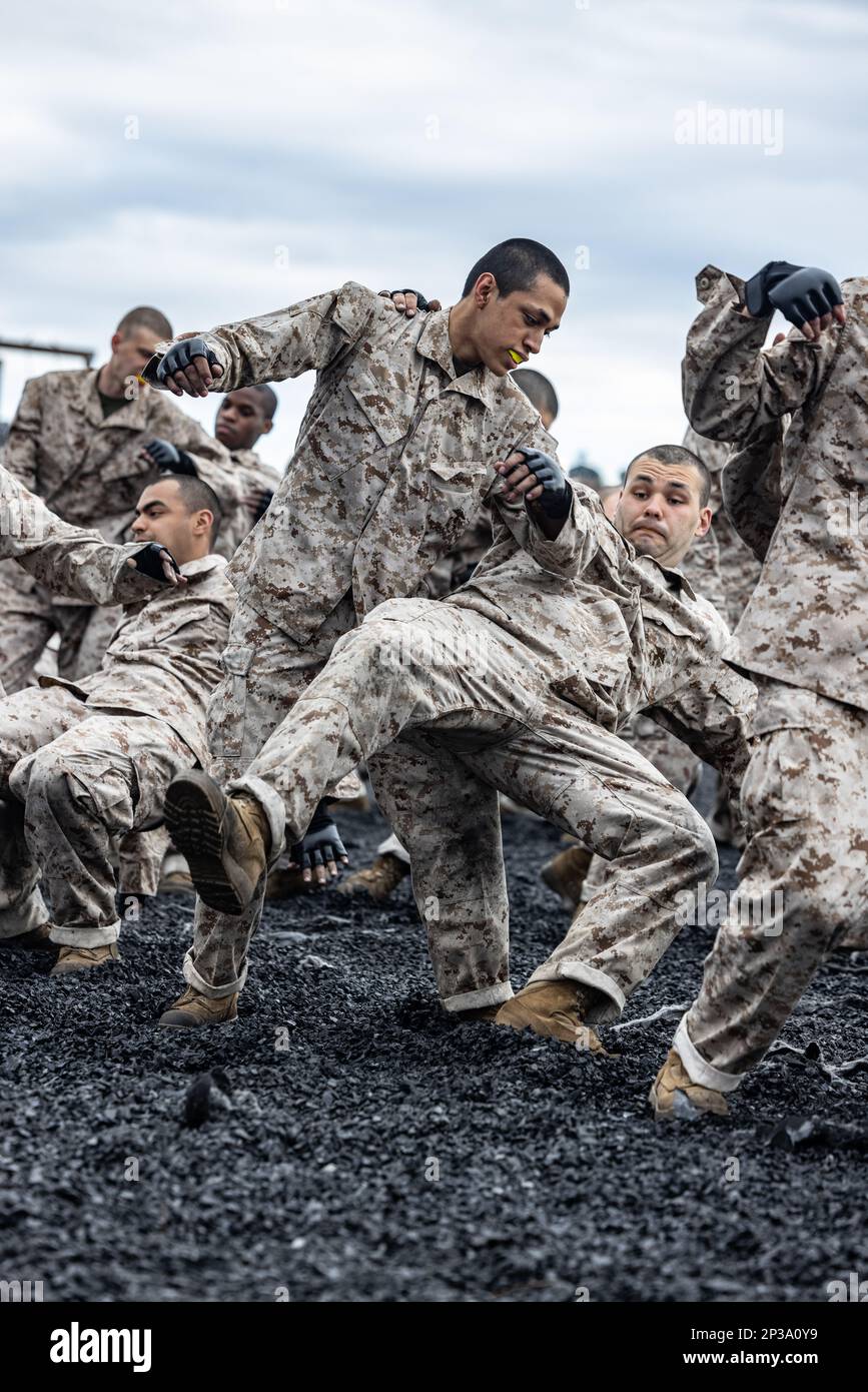 U.S. Marine Corps recruits with Alpha Company, 1st Recruit Training ...