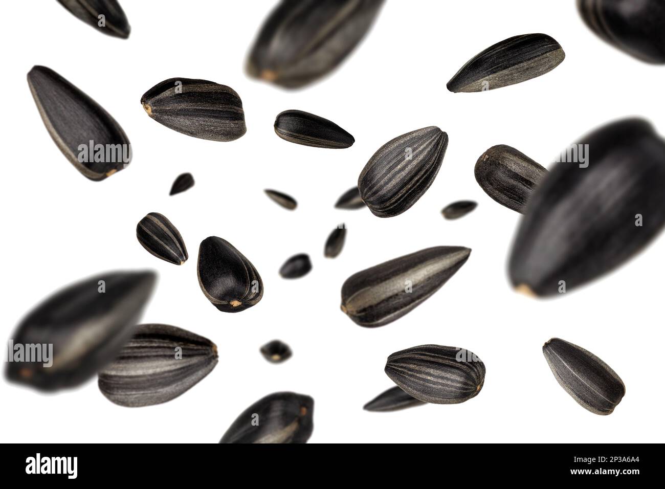 sunflower seeds flying and falling in the air on white Stock Photo - Alamy