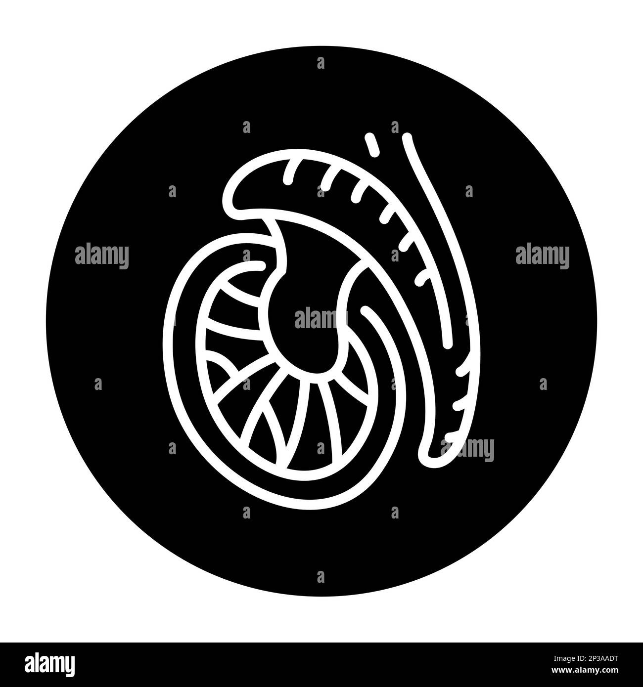 Male Testicle Stock Vector Images Alamy