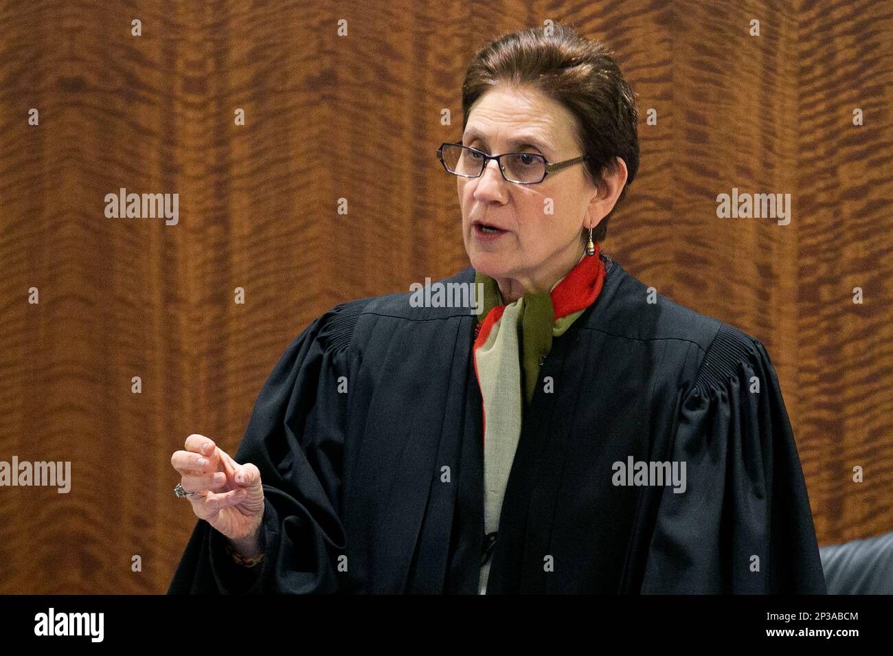 Superior Court Judge Susan Garsh addresses the counselors during the ...