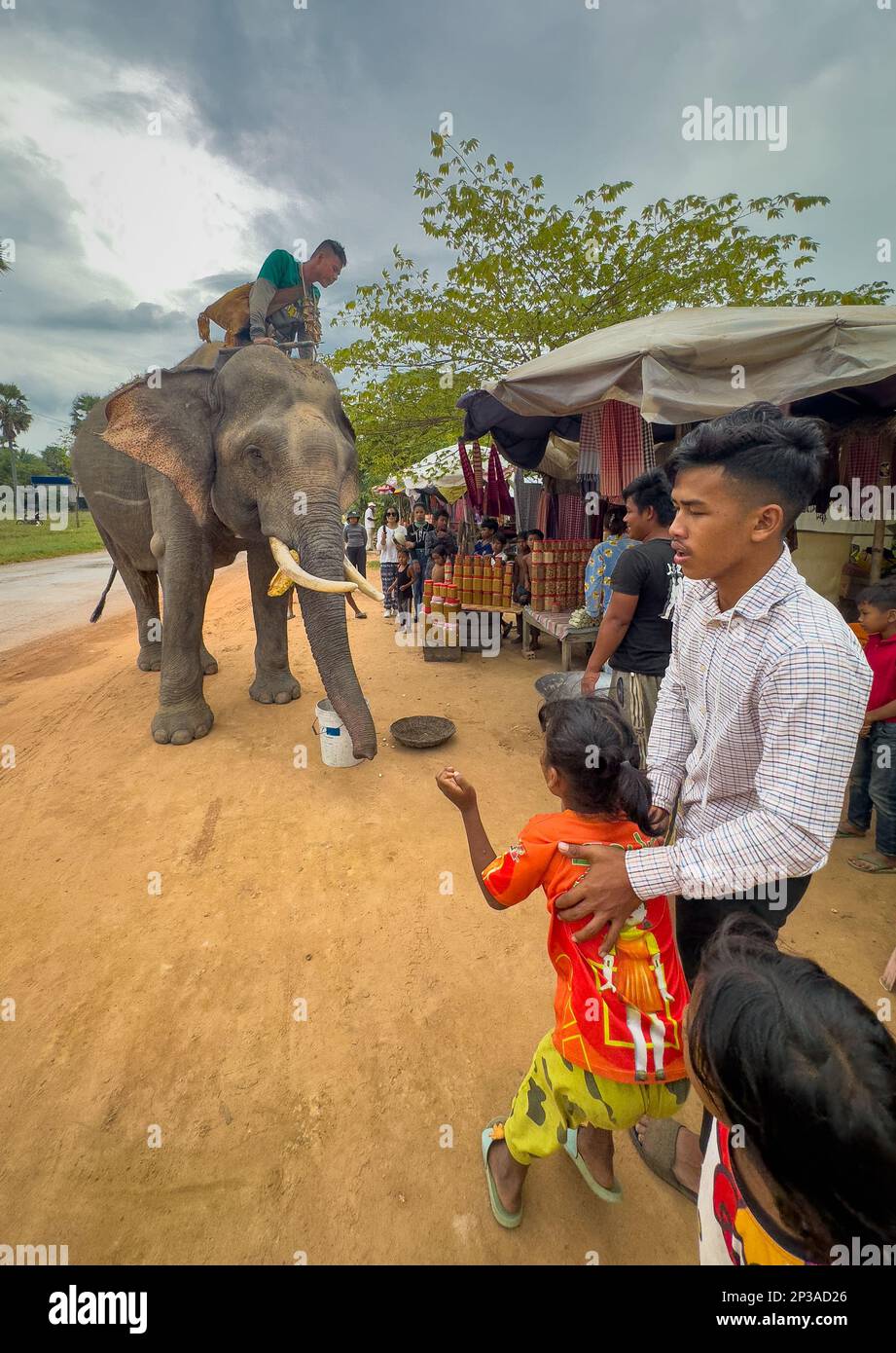 A Cambodian Mahout sitting on his elephant stops to greet villagers and ...