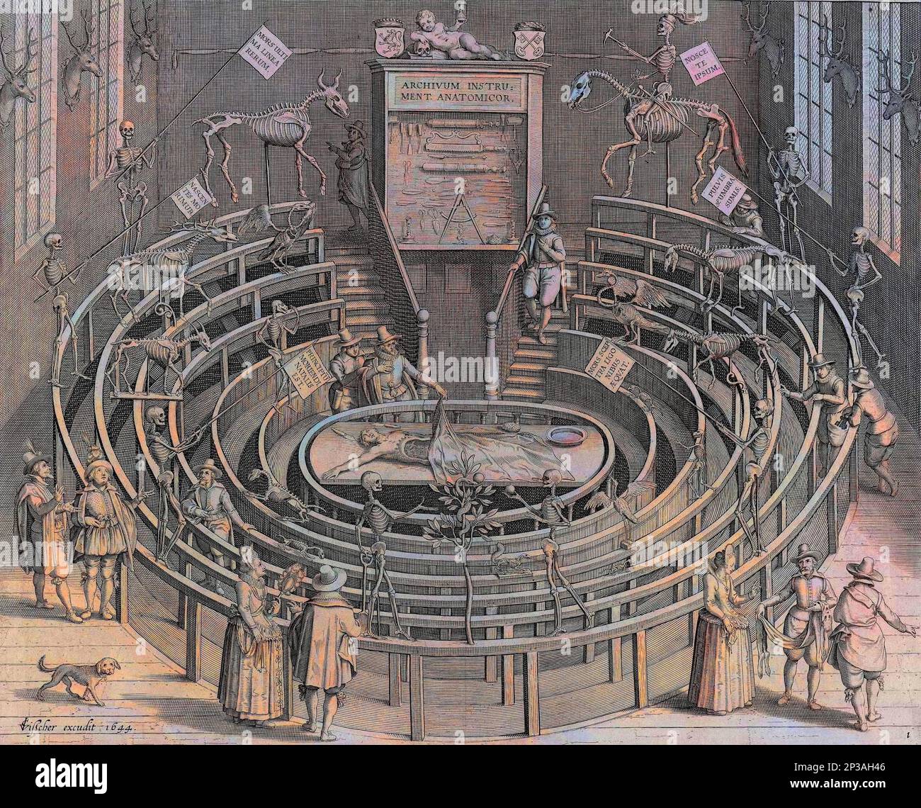 Anatomical Theatre of the University of Leiden - Theatre anatomique de ...