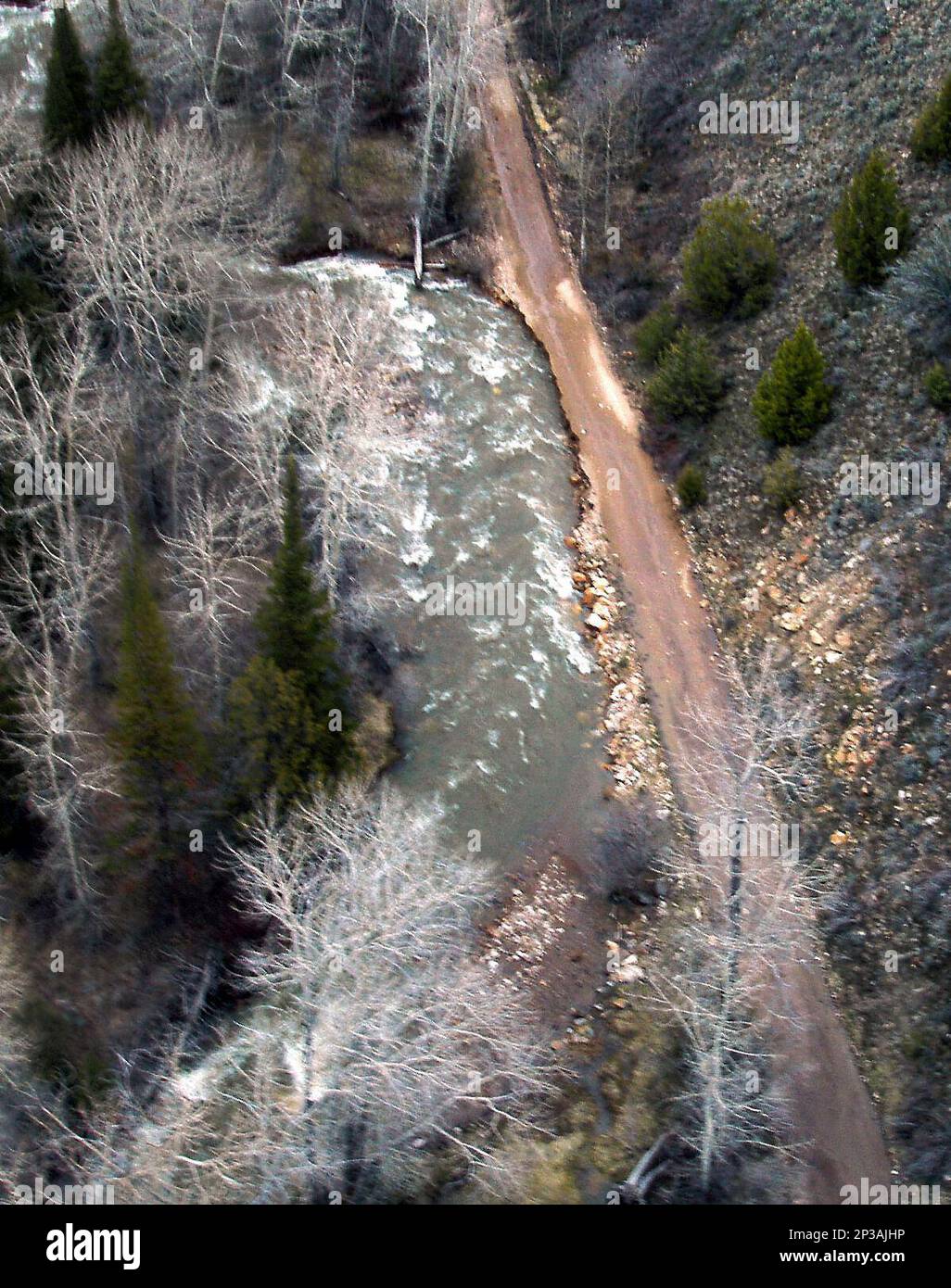 FILE - This 2005 file photo provided by the U.S. Fish and Wildlife ...