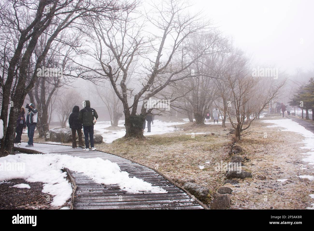 Korean people and foreign travelers travel visit natural garden on ...