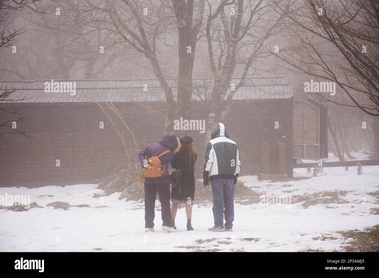 Korean people traveler travel visit natural garden on Hanla Mountain ...