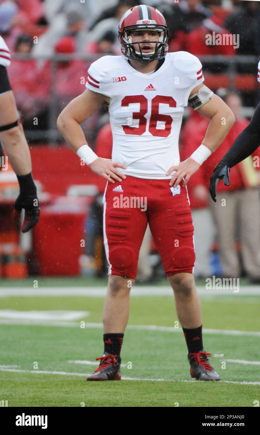 University of Wisconsin Badgers saftey Joe Ferguson (36) during game ...