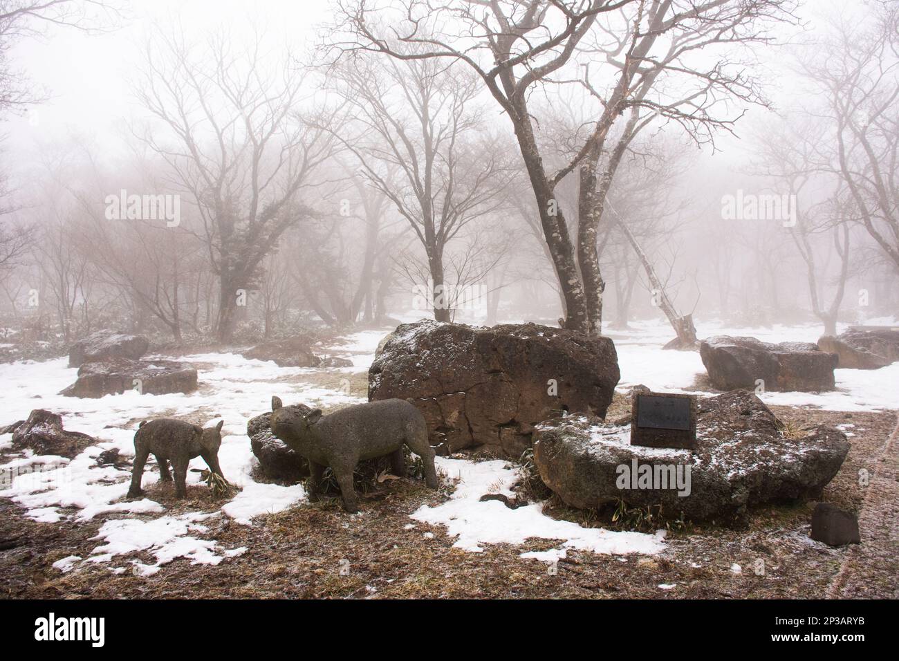 Deers statue and snow falling in forest on Hanla Mountain volcano or ...