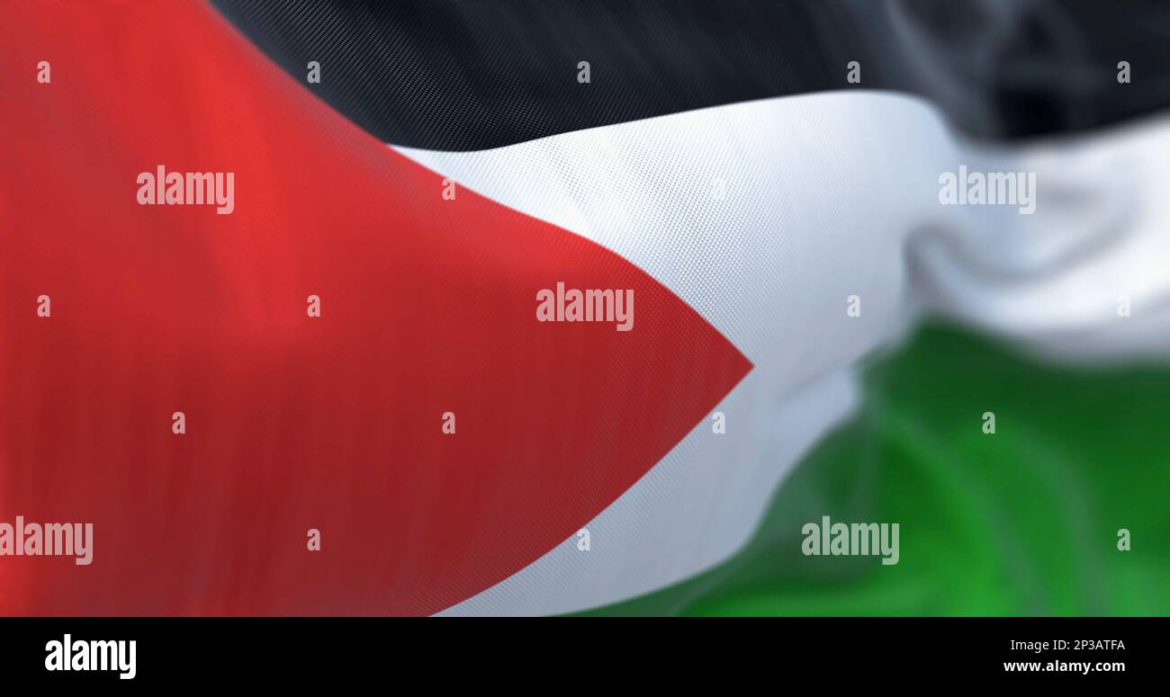 Detail of the Palestine national flag waving. Three stripes (black ...