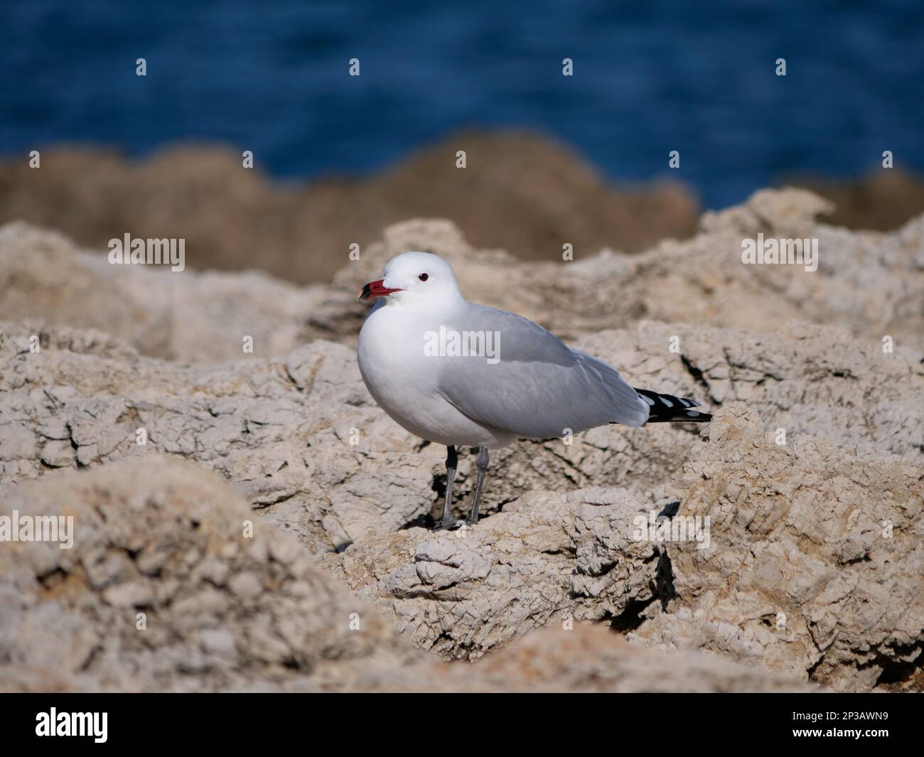 White rocks stand hi-res stock photography and images - Alamy