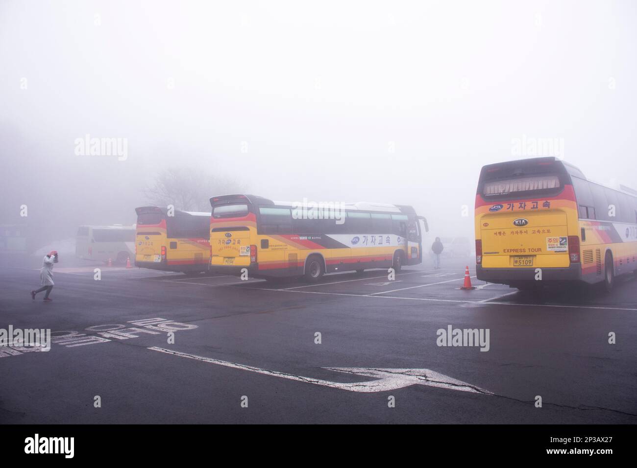 Modern buses stop at car parking and wait service korean people foreign ...