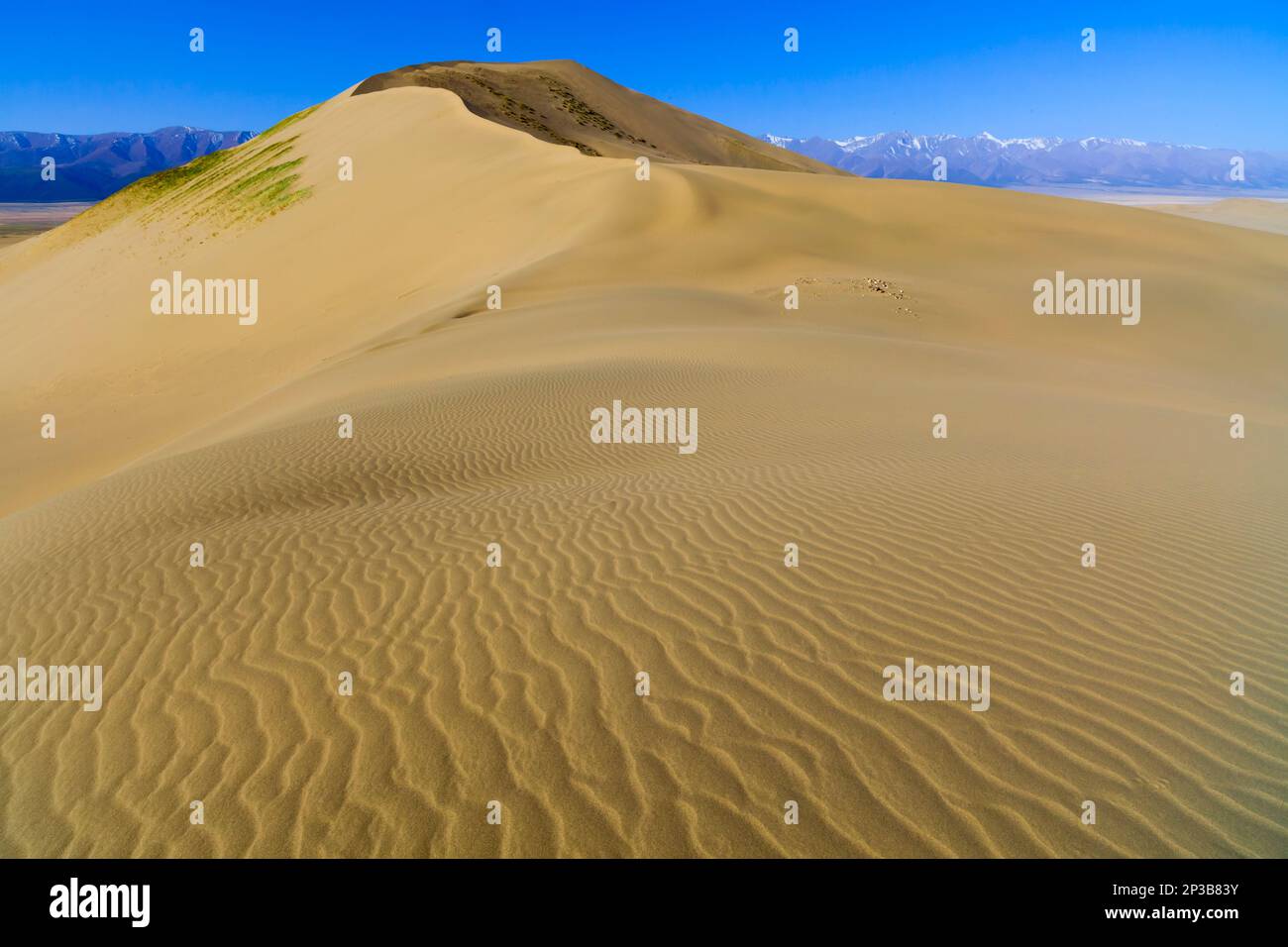 Balikun grassland hi-res stock photography and images - Alamy