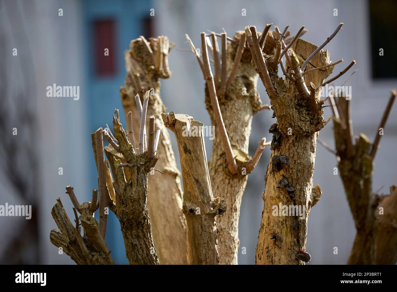 Middlebank hi-res stock photography and images - Alamy