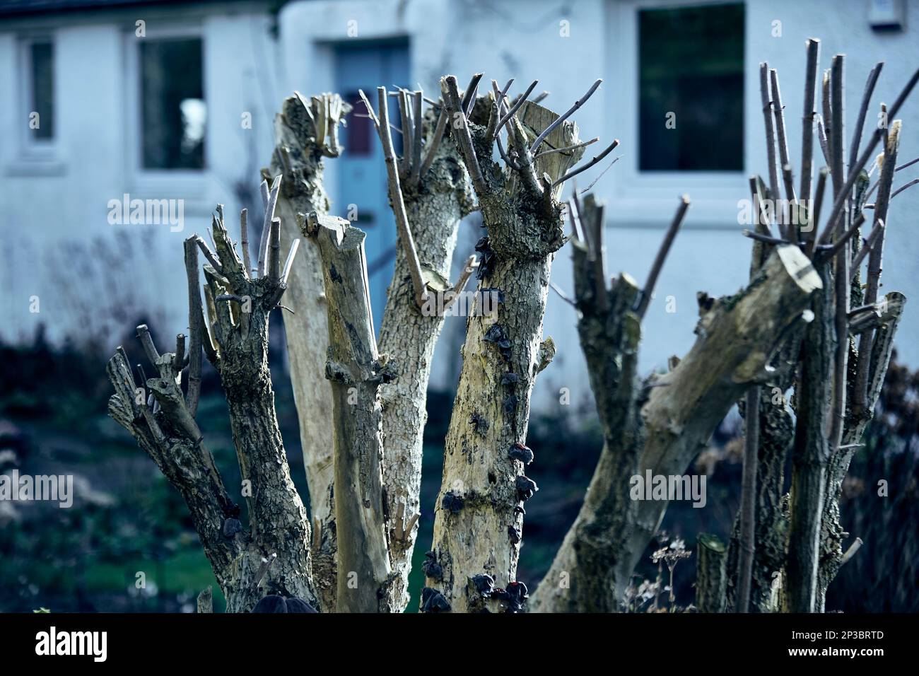 Middlebank hi-res stock photography and images - Alamy