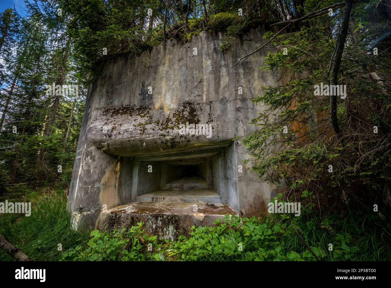 Abandoned, destoyed concrete bunker with embrasure in summer forest ...