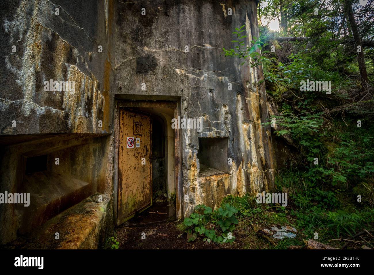 Abandoned, destoyed concrete bunker with embrasure in summer forest ...
