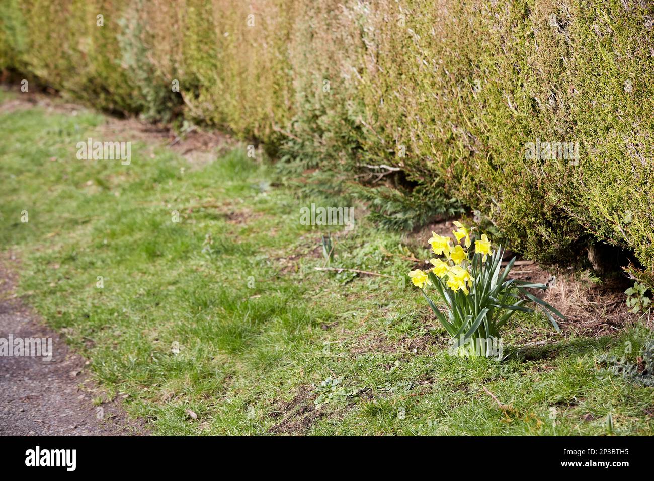 Middlebank Cottage Garden Scenes Stock Photo - Alamy