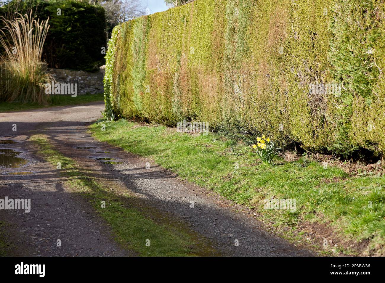 Middlebank hi-res stock photography and images - Alamy