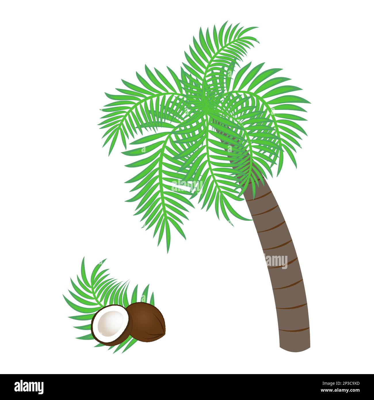 Green Palm Tree Drawing