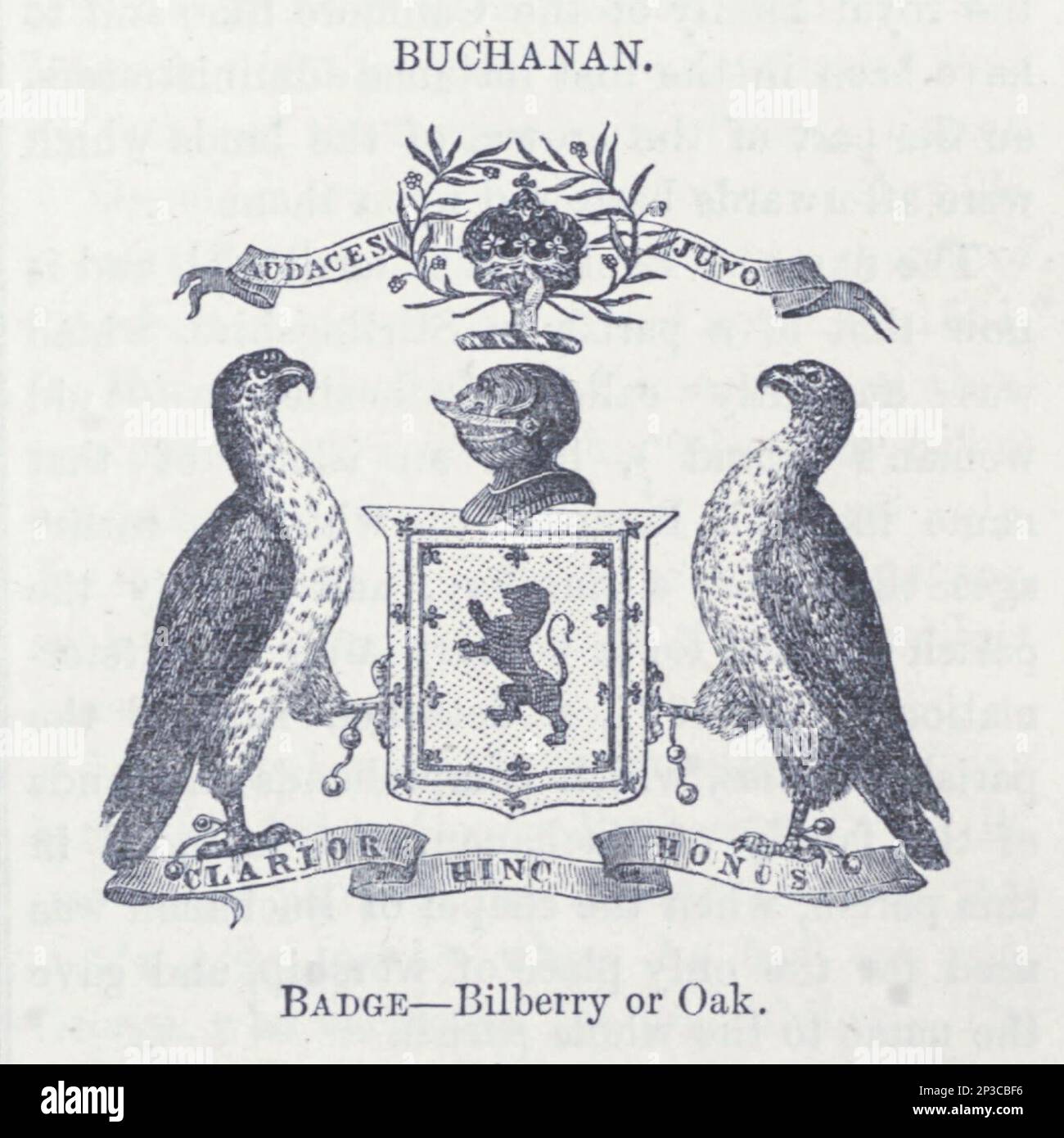 Buchanan coat of arms, crest, and motto from the book ' A history of ...