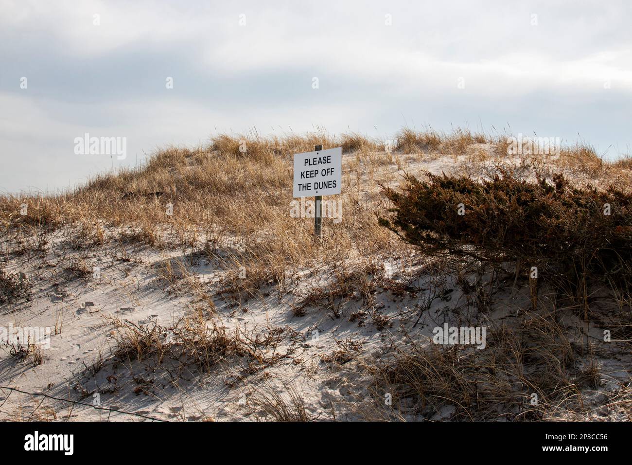 Cloe up of a please keep off the dunes sign on a sand dune with grass ...