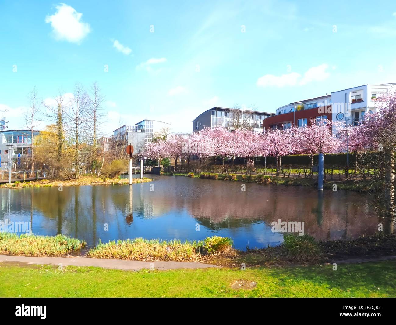 The mayor of duesseldorf hi-res stock photography and images - Alamy