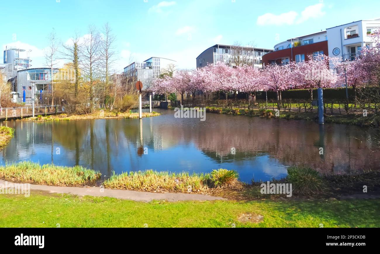 City center of Kaarst near Duesseldorf in Germany Stock Photo - Alamy