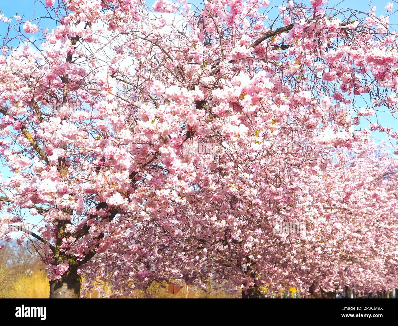 Duesseldorf city hi-res stock photography and images - Alamy