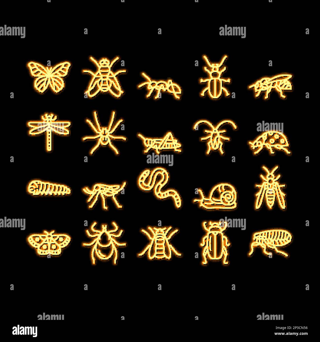 Insect, Spider And Bug Wildlife neon glow icon illustration Stock ...