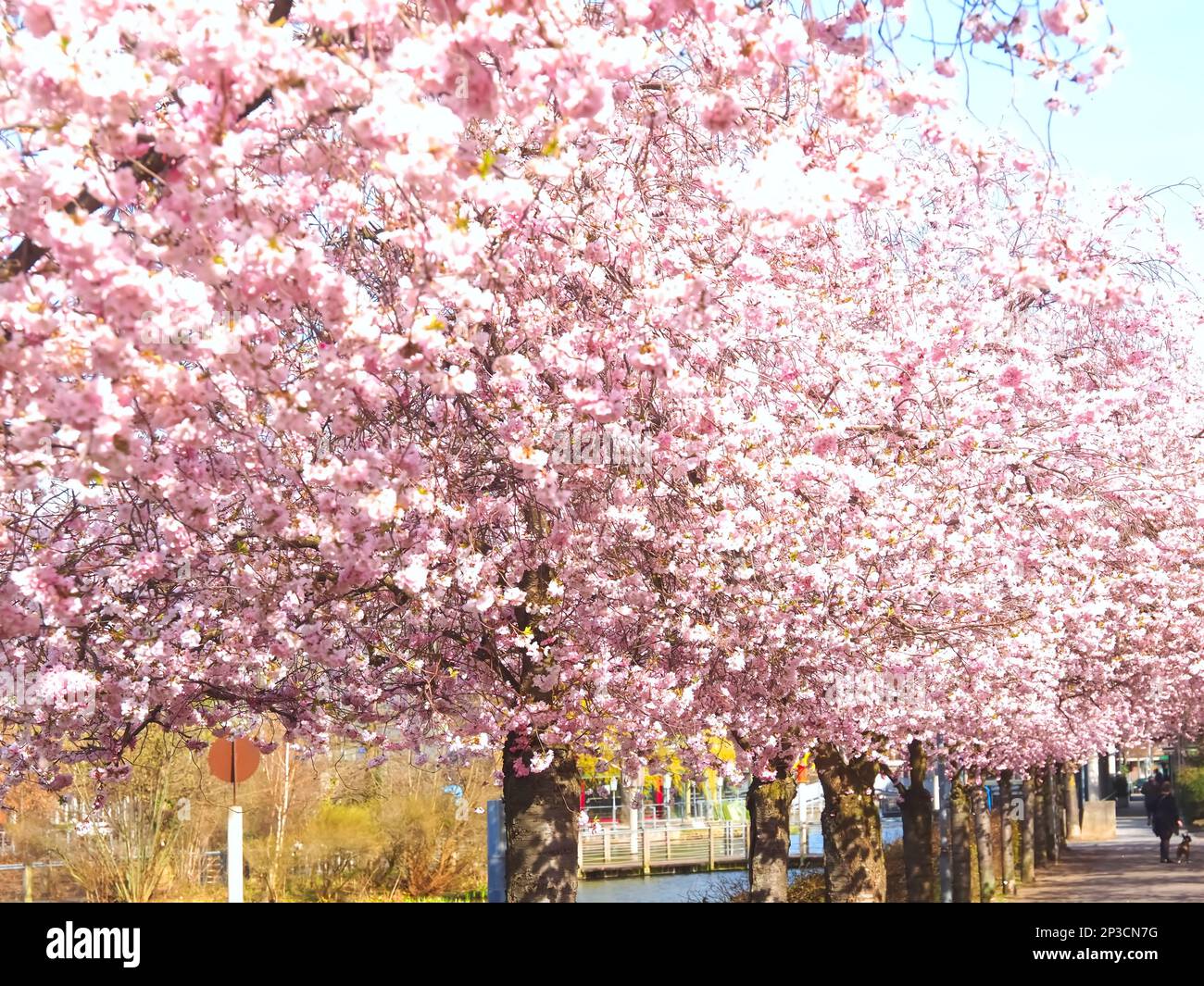 The mayor of duesseldorf hi-res stock photography and images - Alamy