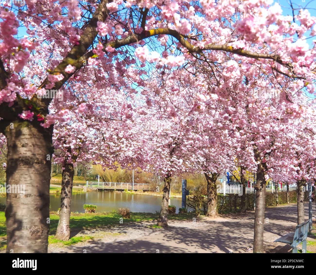 City center of Kaarst near Duesseldorf in Germany Stock Photo - Alamy