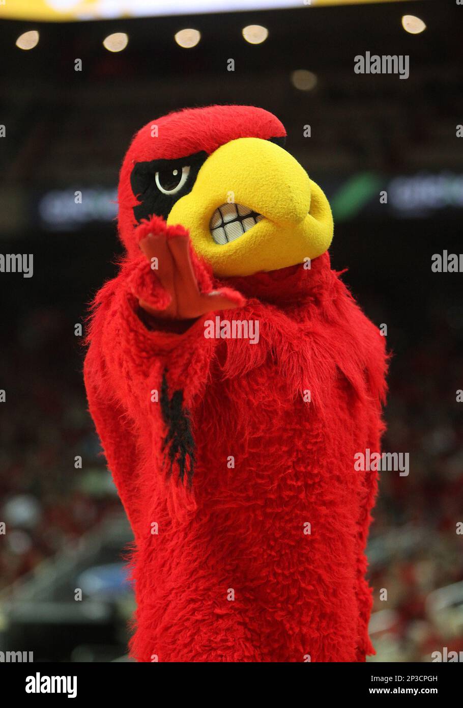 07 March 2015: Louisville Cardinals mascot in a game between the ...