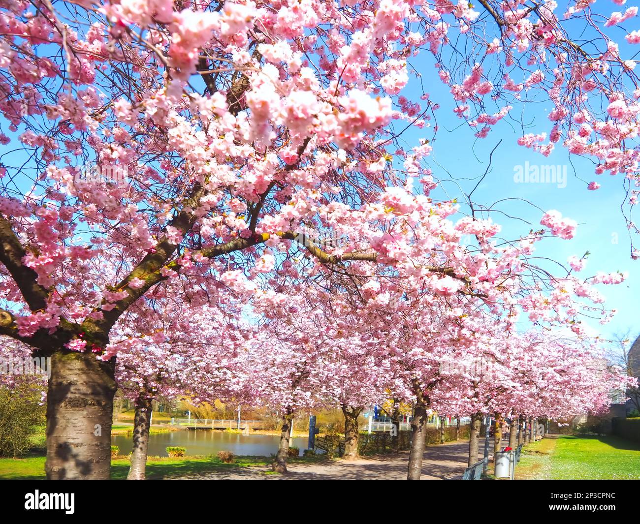 The mayor of duesseldorf hi-res stock photography and images - Alamy