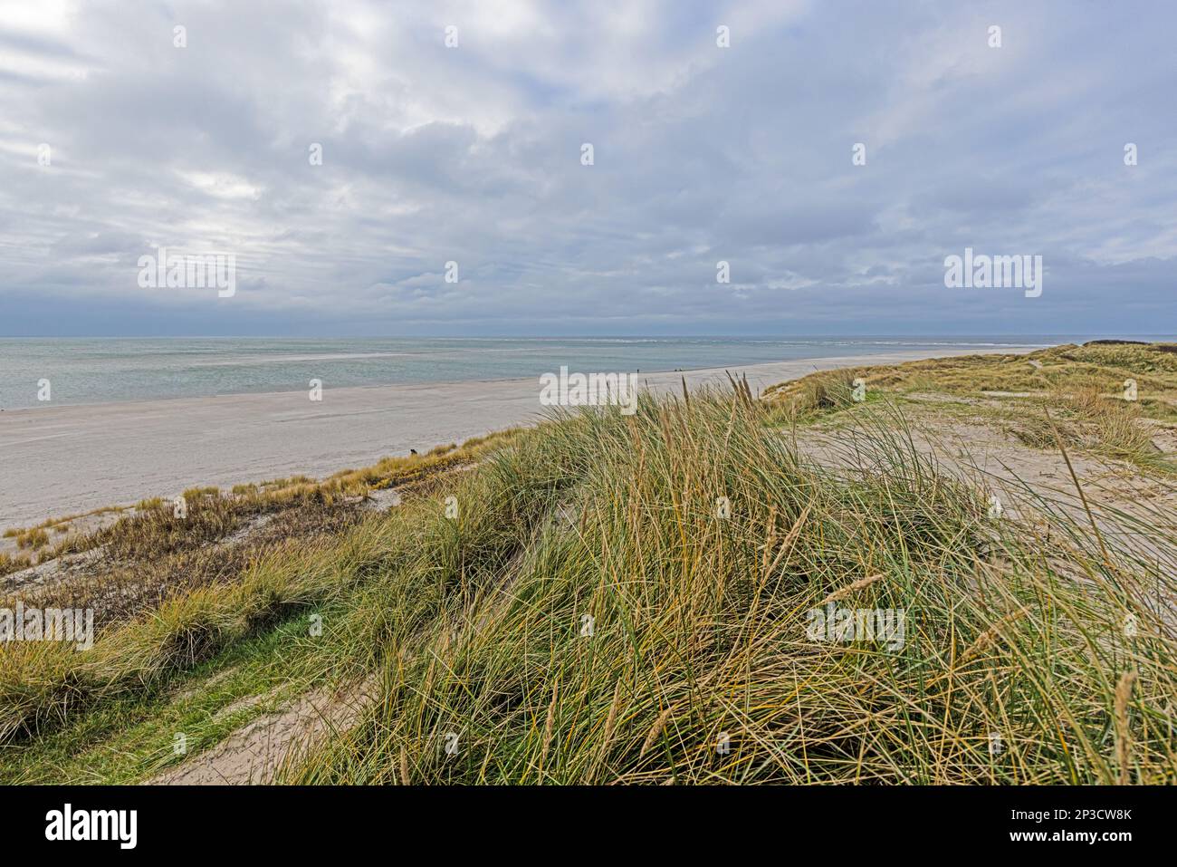 Panoramic view over the beach and dunes of the Danish coastal resort ...