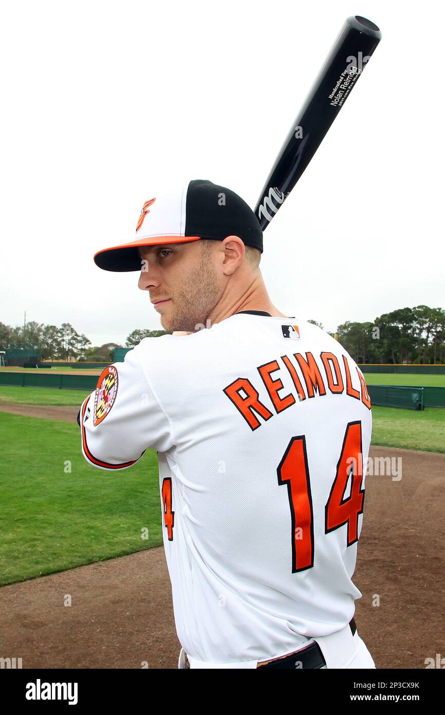 01 MAR 2015: Nolan Reimold during the Orioles Photo Day at the Ed Smith ...