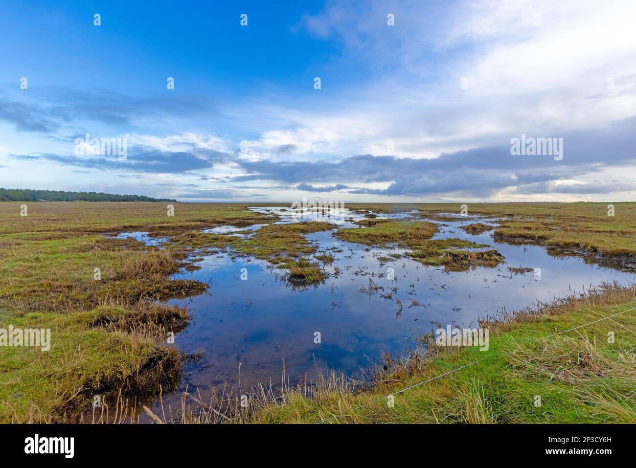 Picture over the Danish Skallingen National Park in Jutland with the ...