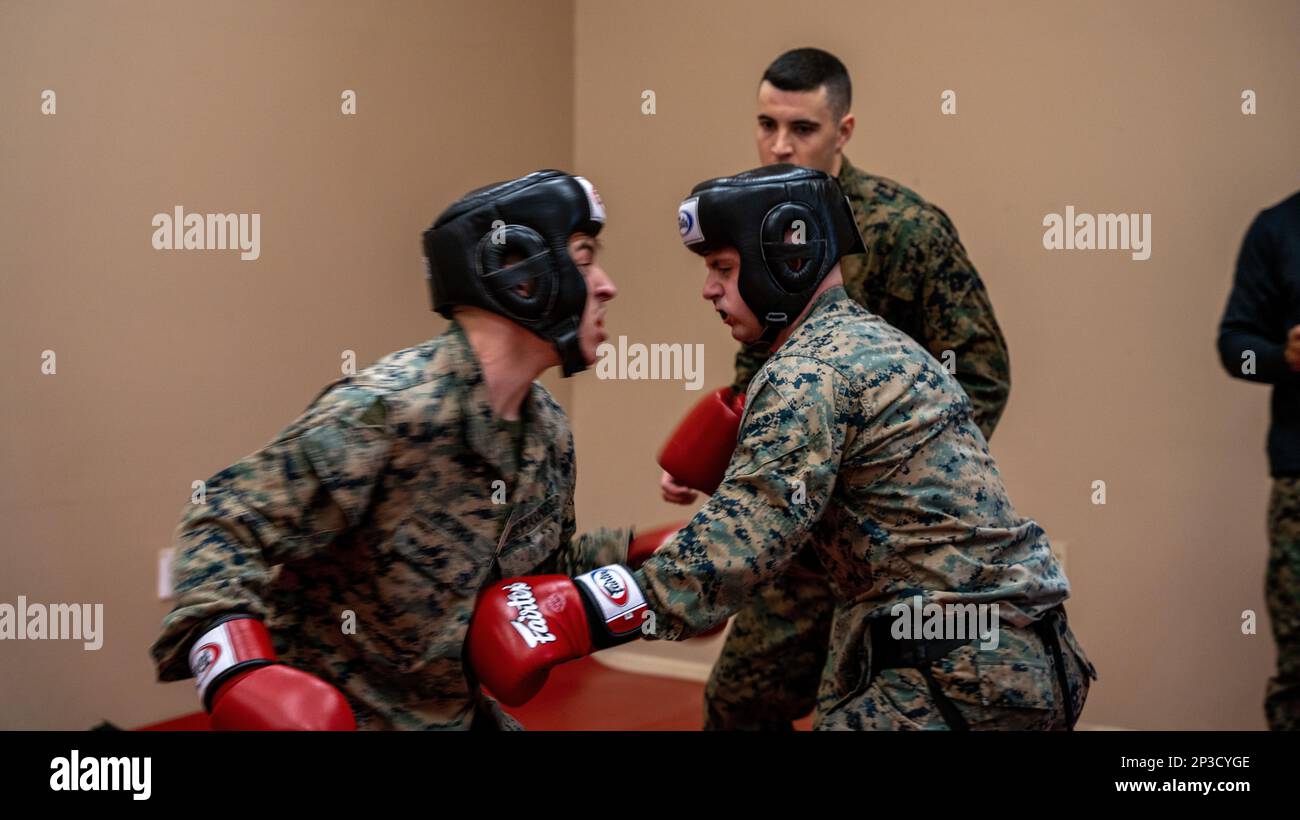 U.S. Marines from various units execute lower body strikes during a ...